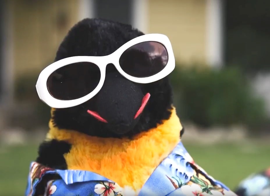 Gilmore Air - Cognitive Films